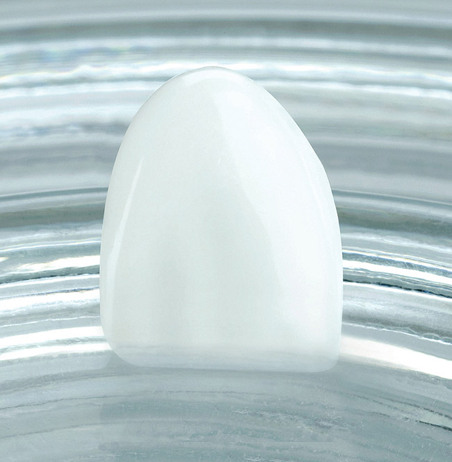 DenMat Holding Inc: Complete Systems for Clinical Success | Compendium