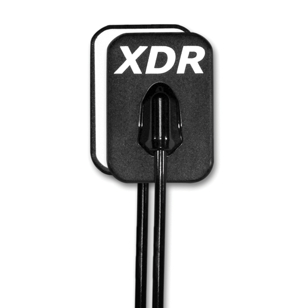 XDR Radiology: Digital Solutions Designed by Dentists for Dentists ...
