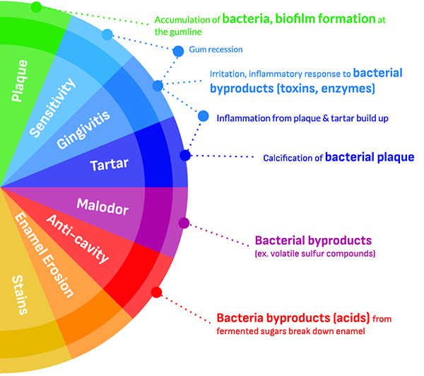 The Evolution of Colgate Total®: A New Era Stabilized by Nitrate and ...